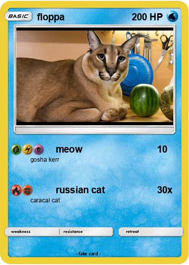Pokémon floppa 290 290 - meow - My Pokemon Card