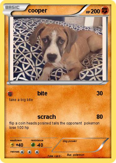 Pokémon cooper 171 171 - bite - My Pokemon Card