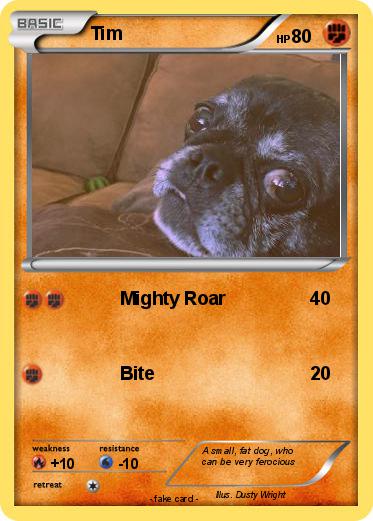 Pokémon Tim 521 521 - Mighty Roar - My Pokemon Card