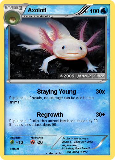 Pokémon Axolotl 57 57 - Staying Young - My Pokemon Card