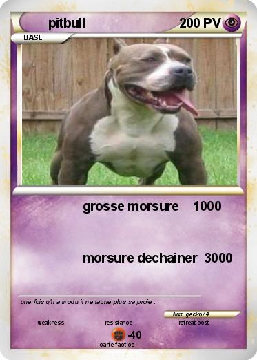 Pokémon pitbull 28 28 - grosse morsure 1000 - Ma carte Pokémon