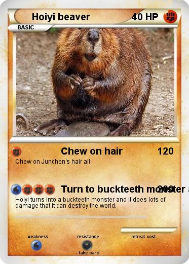Pokémon Hoiyi beaver - Chew on hair - My Pokemon Card