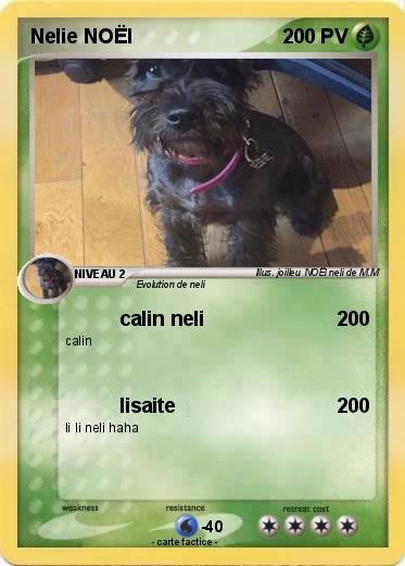 Pokémon Nelie NOEl - calin neli - Ma carte Pokémon