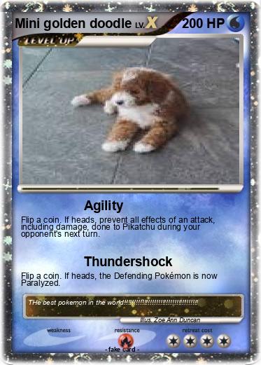 Pokémon Mini golden doodle - Agility - My Pokemon Card