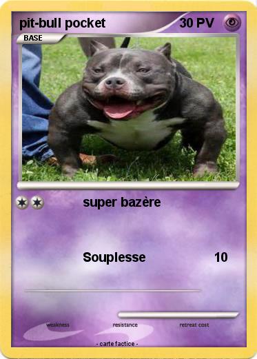 Pokémon pit bull pocket 1 1 - super bazère - Ma carte Pokémon