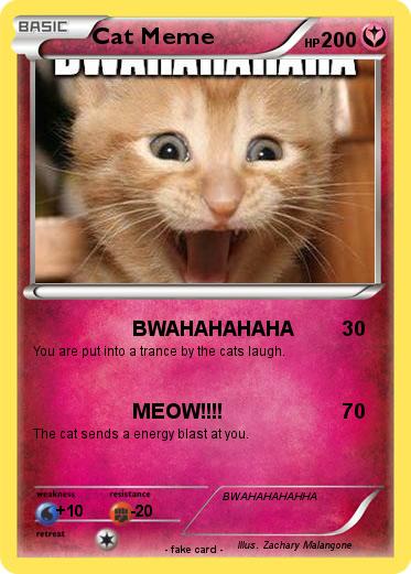Pokémon Cat Meme 10 10 - BWAHAHAHAHA - My Pokemon Card