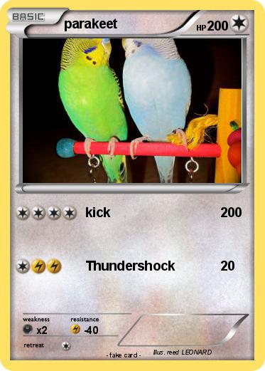 Pokémon parakeet 13 13 - kick - My Pokemon Card