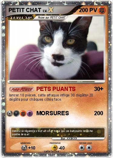 Pokémon PETIT CHAT 132 132 - PETS PUANTS - Ma carte Pokémon