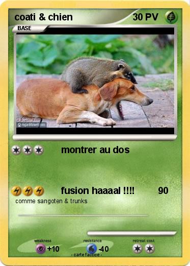 Pokémon coati chien - montrer au dos - Ma carte Pokémon