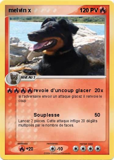 Pokémon melvin x - revoie d'uncoup glacer - Ma carte Pokémon