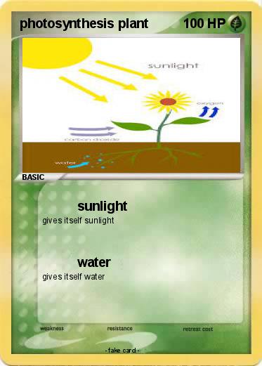 Pokémon photosynthesis plant - sunlight - My Pokemon Card