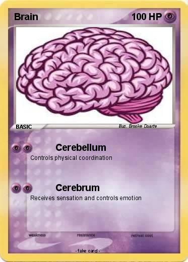 Pokémon Brain 127 127 - Cerebellum - My Pokemon Card