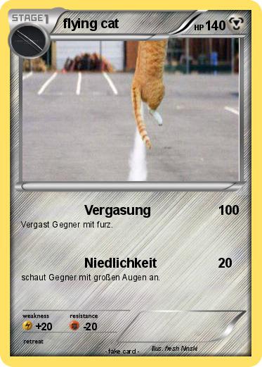 Pokémon flying cat 43 43 - Vergasung - My Pokemon Card
