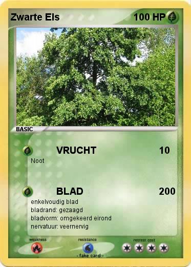 Pokémon Zwarte Els - VRUCHT - My Pokemon Card