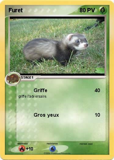 Pokémon Furet 10 10 - Griffe - Ma carte Pokémon