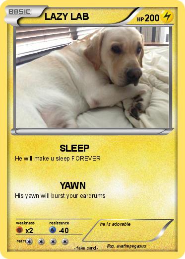 Pokémon LAZY LAB - SLEEP - My Pokemon Card