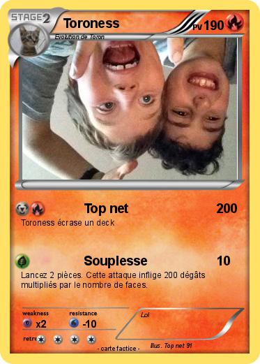 Pokémon Toroness - Top net - Ma carte Pokémon