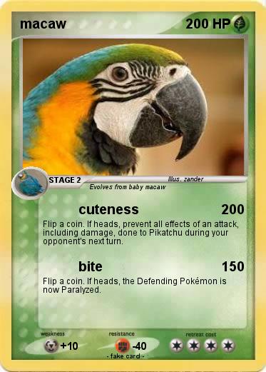 Pokémon macaw 5 5 - cuteness - My Pokemon Card