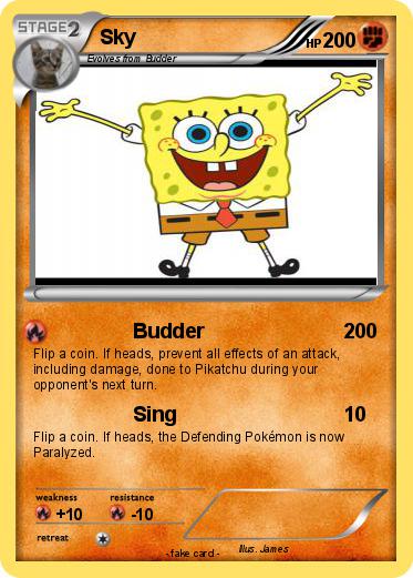 Pokémon Sky 555 555 - Budder - My Pokemon Card