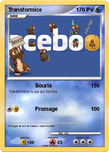 Pokémon Transformice 19 19 - Souris - Ma carte Pokémon