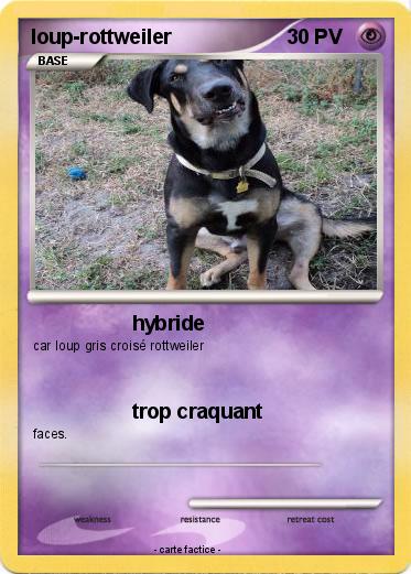 Pokémon loup rottweiler 13 13 - hybride - Ma carte Pokémon