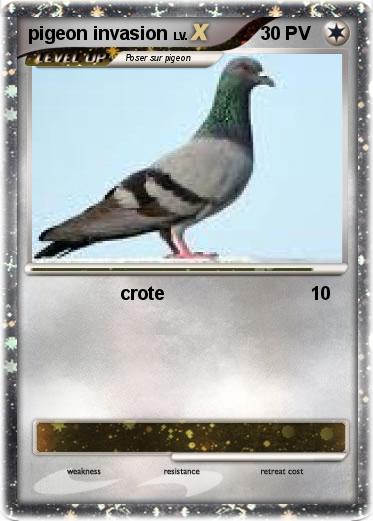 Pokémon pigeon invasion 1 1 - crote - Ma carte Pokémon