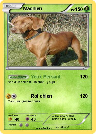 Pokémon Machien - Yeux Persant - Ma carte Pokémon