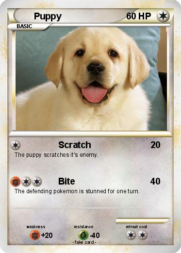 Pokémon Puppy 898 898 - Scratch - My Pokemon Card
