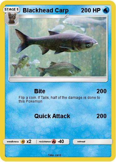 Pokémon Blackhead Carp - Bite - My Pokemon Card