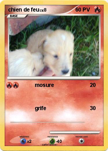 Pokémon chien de feu 5 5 - mosure - Ma carte Pokémon