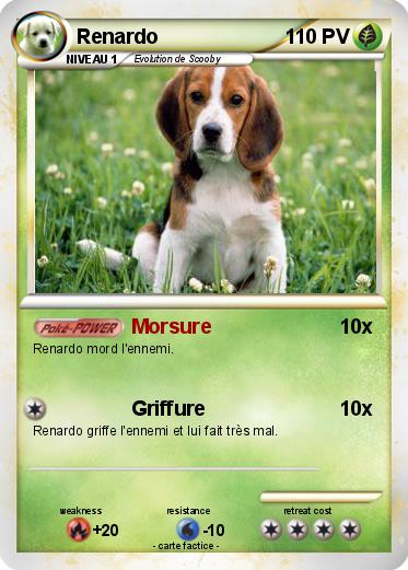 Pokémon Renardo 19 19 - Morsure - Ma carte Pokémon