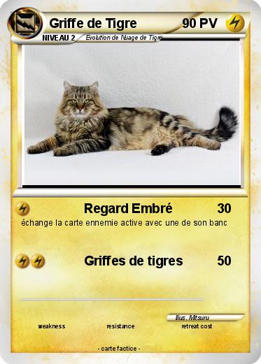 Pokémon Griffe de Tigre 10 10 - Regard Embré - Ma carte Pokémon
