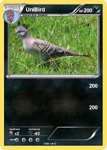 Pokémon UniBird - My Pokemon Card