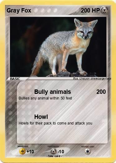 Pokémon Gray Fox 15 15 - Bully animals - My Pokemon Card