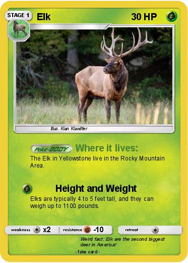 Pokémon Elk 17 17 - Where it lives: - My Pokemon Card