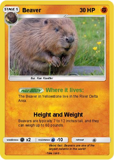 Pokémon Beaver 110 110 - Where it lives: - My Pokemon Card