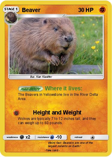 Pokémon Beaver 109 109 - Where it lives: - My Pokemon Card