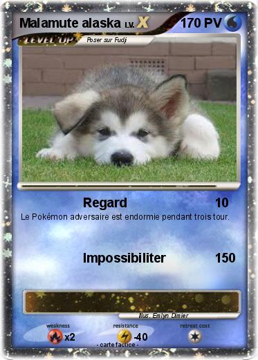 Pokémon Malamute alaska - Regard - Ma carte Pokémon