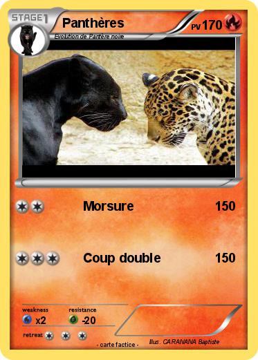 Pokémon Pantheres - Morsure - Ma carte Pokémon