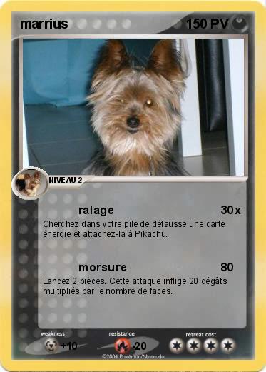 Pokémon marrius - ralage - Ma carte Pokémon