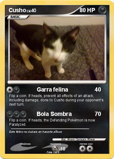 Pokémon Cusho - Garra felina - My Pokemon Card