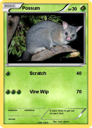 Pokémon Possum 8 8 - Scratch - My Pokemon Card