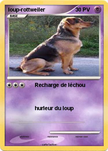 Pokémon loup rottweiler 10 10 - Recharge de léchou - Ma carte Pokémon
