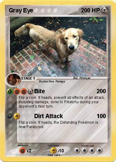 Pokémon Gray Eye - Bite - My Pokemon Card