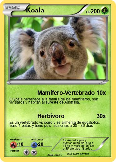 Pokémon Koala 1897 1897 - Mamífero-Vertebrado - Mi carta pokémon