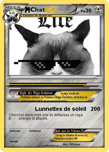 Pokémon Chat 4457 4457 - Lunnettes de soleil - Ma carte Pokémon