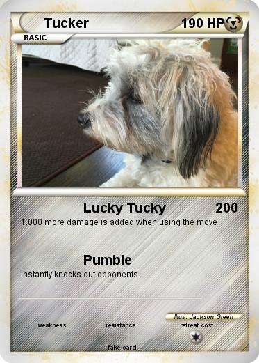 Pokémon Tucker 171 171 - Lucky Tucky - My Pokemon Card