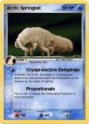 Pokémon Arctic Springtail - Cryoprotective Dehydrate - My Pokemon Card