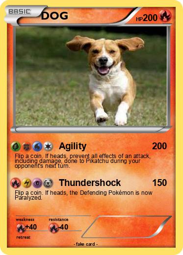 Pokémon DOG 1920 1920 - Agility - My Pokemon Card
