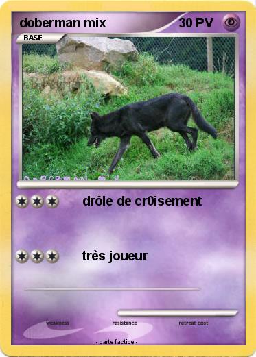 Pokémon doberman mix 5 5 - drôle de cr0isement - Ma carte Pokémon